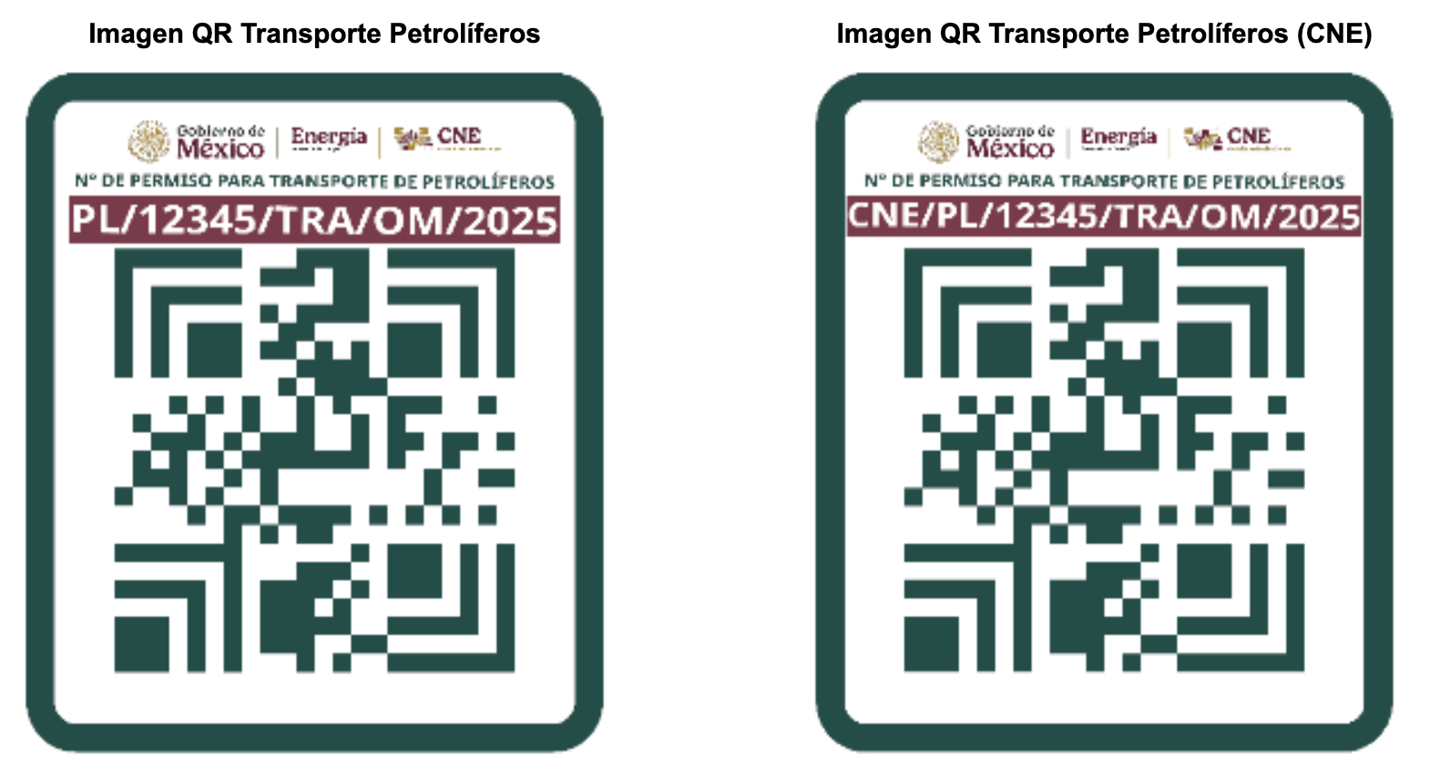Balizado con QR: Pasos necesarios para iniciar proceso en CNE | DUFREI