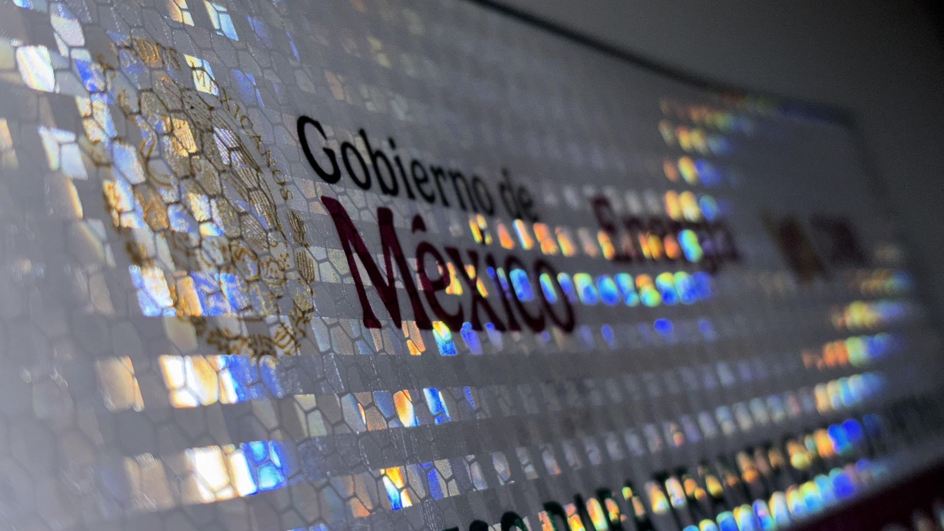 Balizado con QR: Pasos necesarios para iniciar proceso en CNE | DUFREI